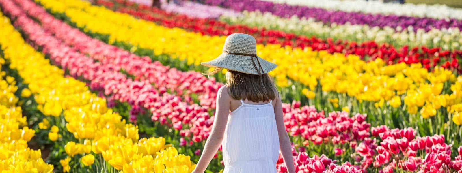 5 Great Event Options for Spring Time in Melbourne - Chillizone Event ...